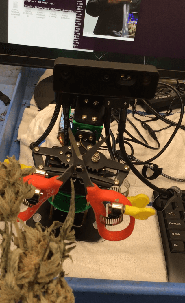 Automated Trimming Solutions