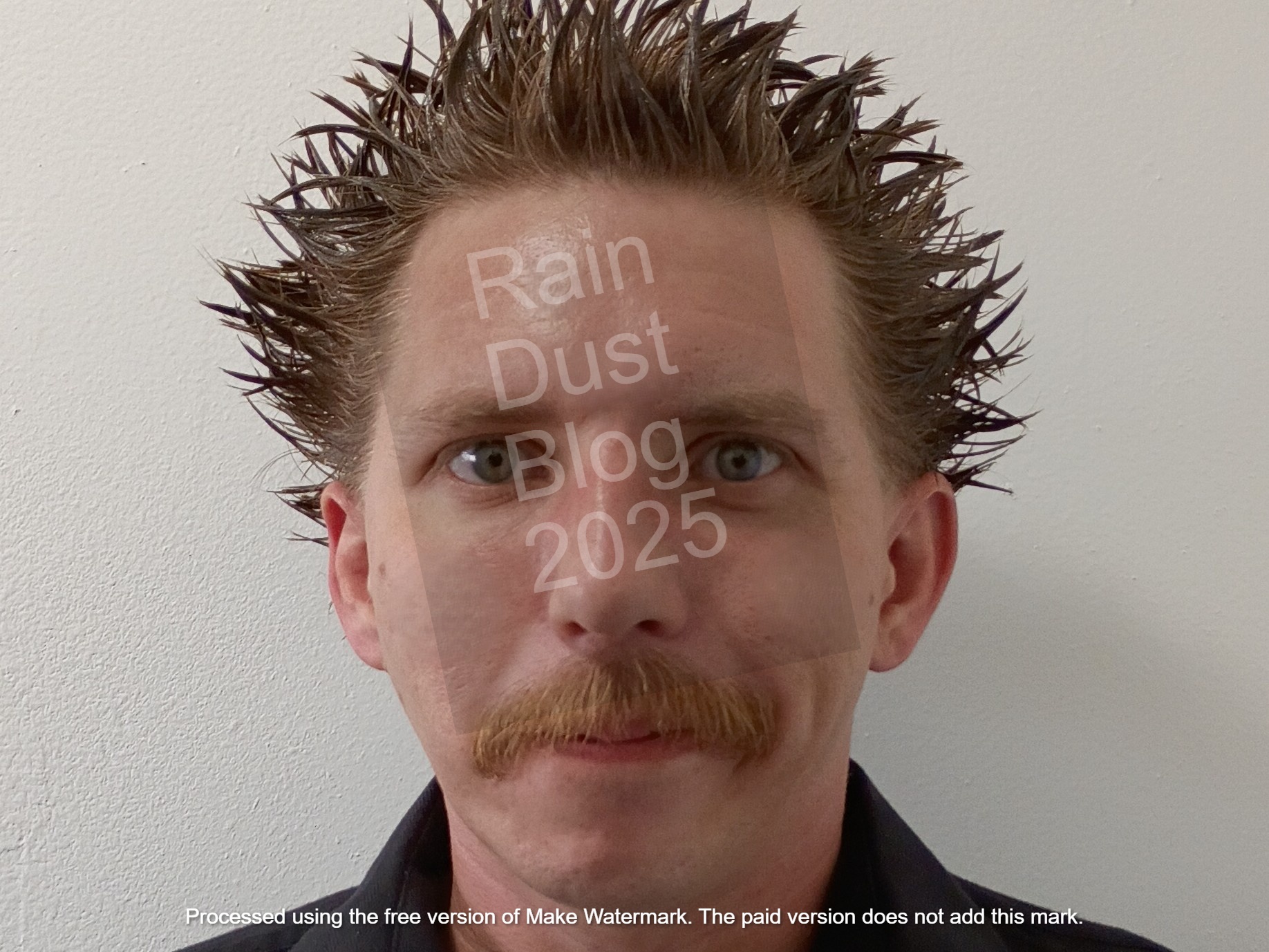 Rain Dust Homepage